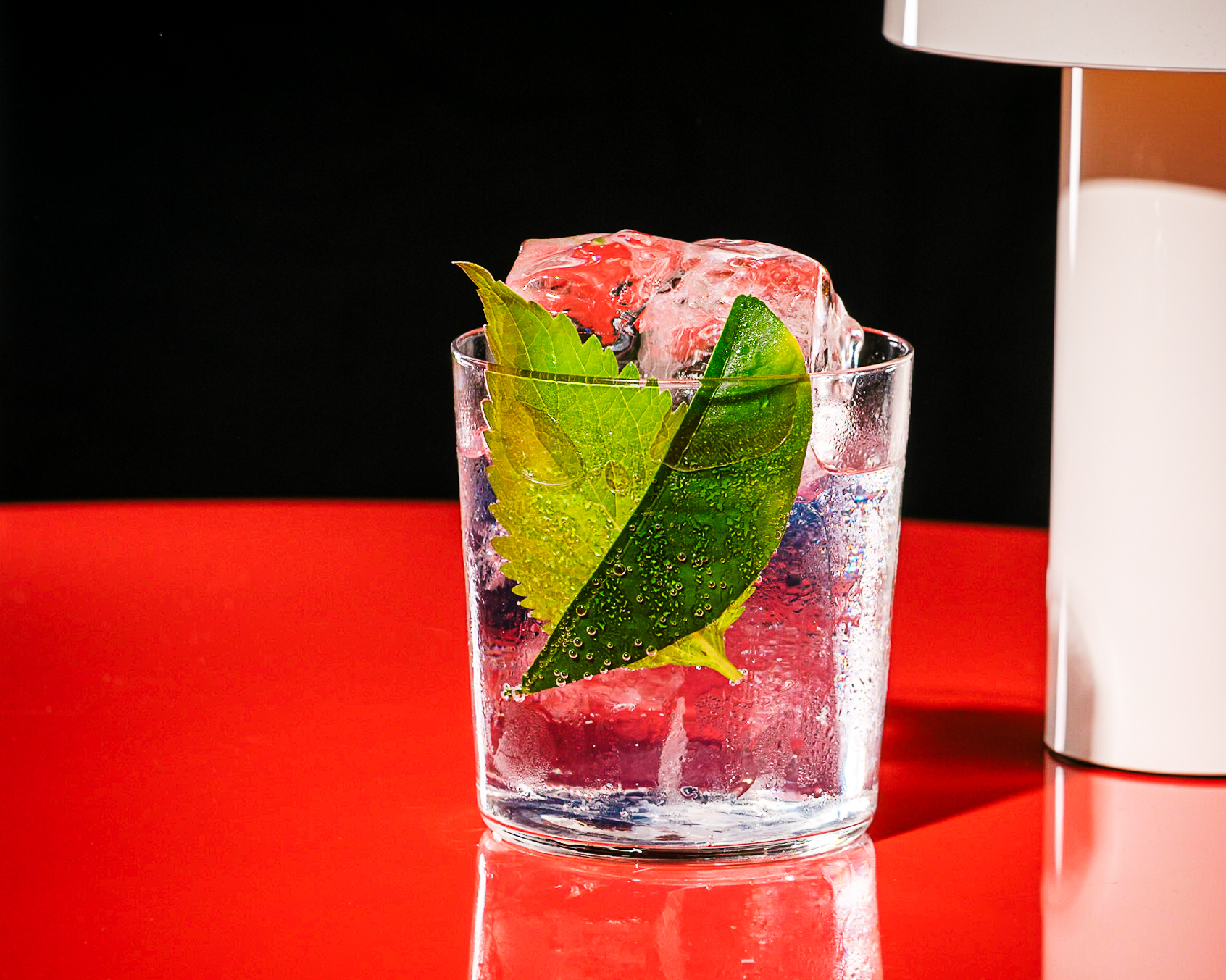 Seed Library | Cocktail Bar in Shoreditch, East London